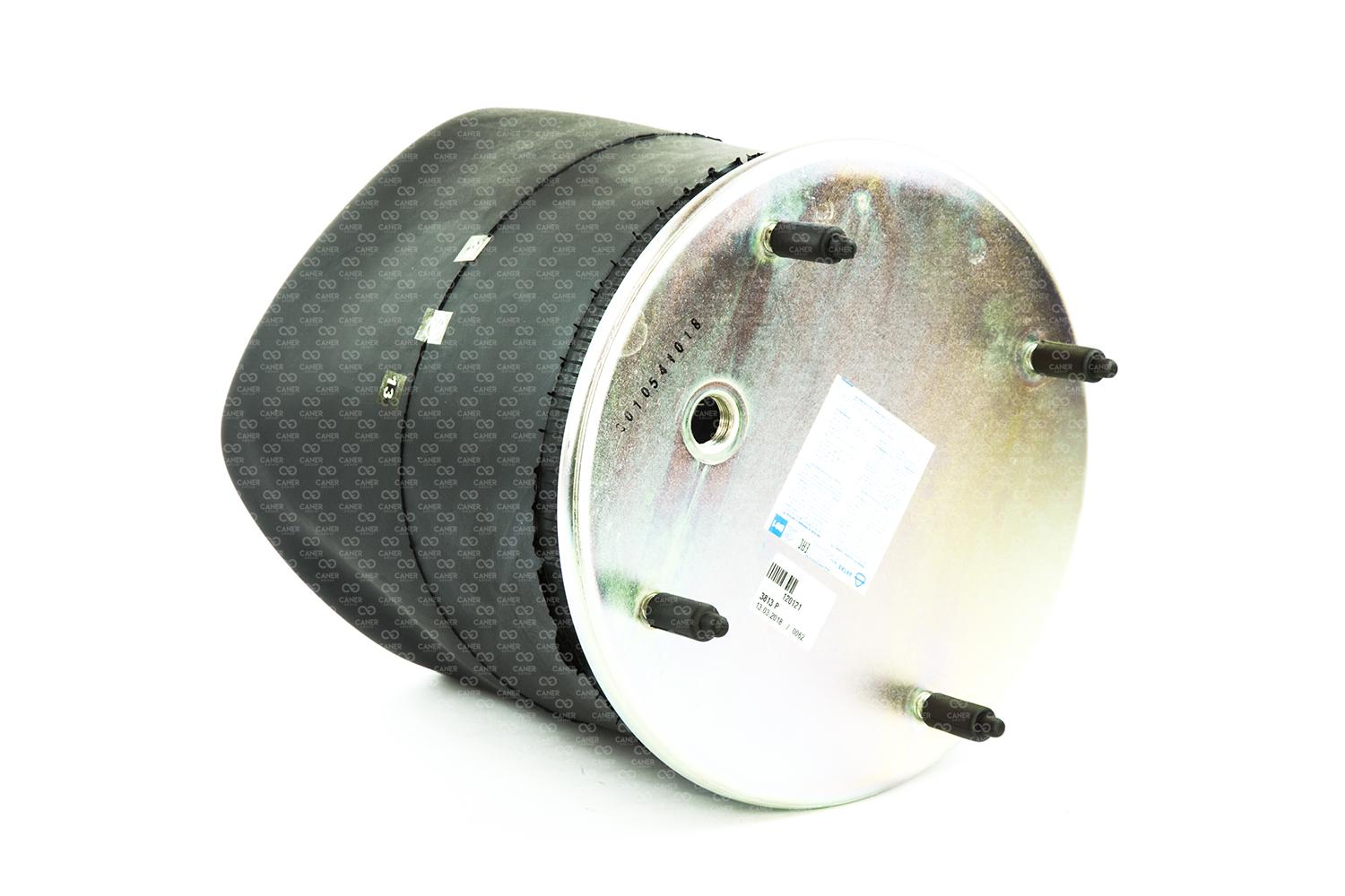 ;0175005; 21222239; 2229000300; 0175005; 2229000300; 21222239; - 3813 P ...